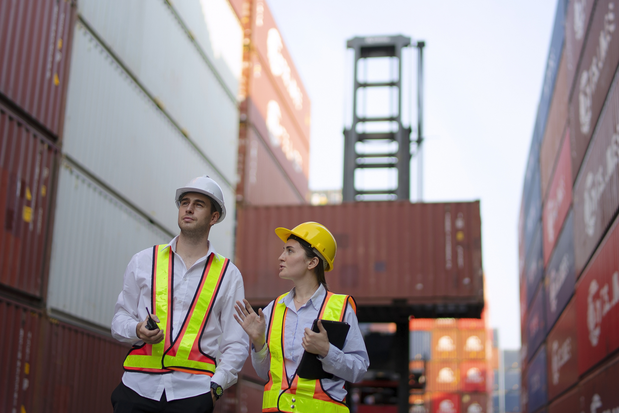 Vendor Selection Process: The Right Partner for Your Business